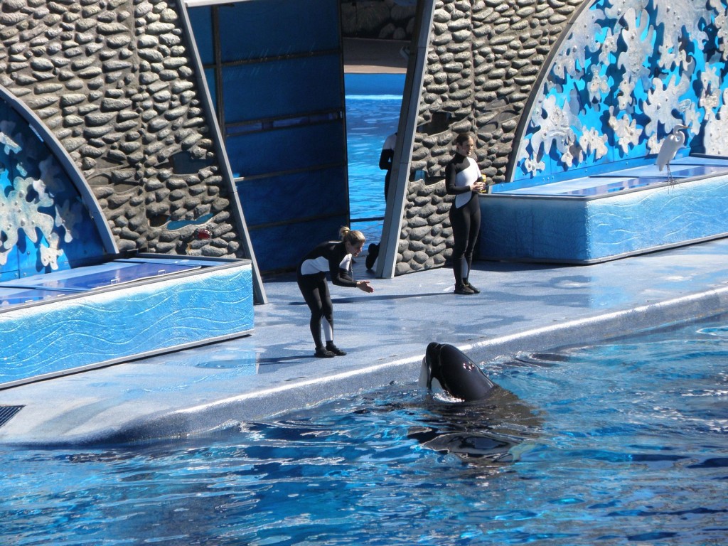 Le parc Seaworld à Orlando en Floride | Visiter les USA: voyage aux ...